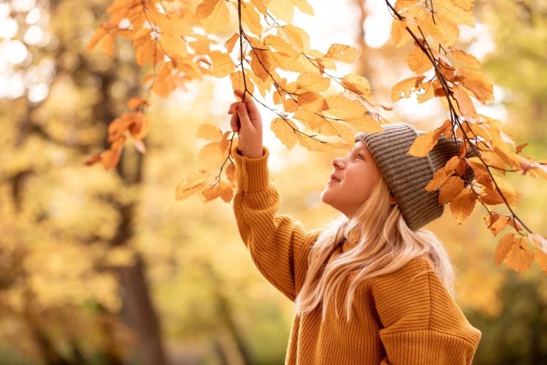 Why Algonquin Park Is Ontario’s Best Fall Foliage Destination